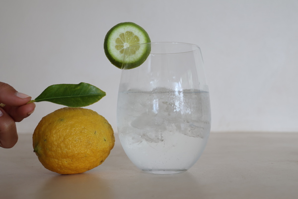 FOOD | Sun Ranch - Byron Bay - Luxury Accommodation